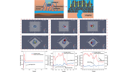Particle clogging mechanisms in hyporheic exchange with coupled lattice ...