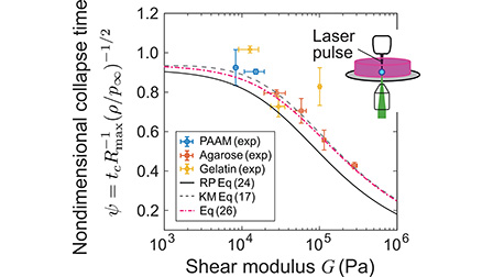 Estimating viscoelastic, soft material properties using a modified Rayleigh cavitation bubble ...