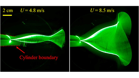 Measurements of flow-induced vibration of a flexible splitter plate mounted on a cylinder in ...