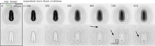 Shockwave velocimetry using wave-based image processing to measure ...