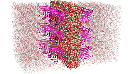 How adsorbed proteins at solid interfaces impact the droplet propagation through micro ...