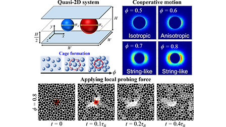 Emergence of cooperative particle dynamics in quasi-two-dimensional ...