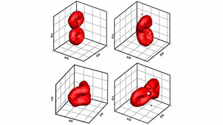 On the three-dimensional flow evolution of a submerged synthetic jet with two circular orifices ...