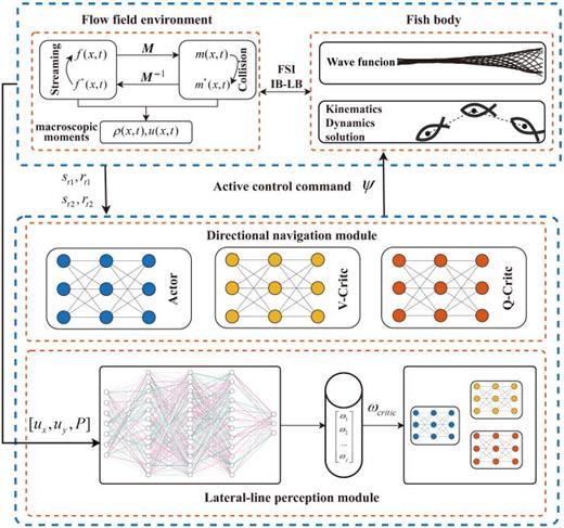 A numerical simulation research on fish adaption behavior based on deep ...