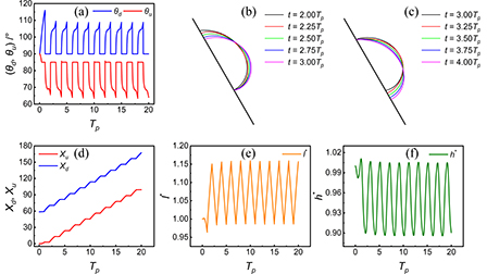 Simulation of droplet dynamics in an inclined channel considering ...