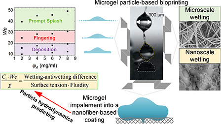 Microgel particle deposition patterns after impinging on nanofiber ...