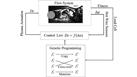 Closed-loop plasma flow control of a turbulent cylinder wake flow using machine learning at ...