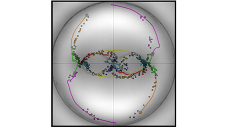 Trapped vortex dynamics implemented in composite Bessel beams | Physics ...