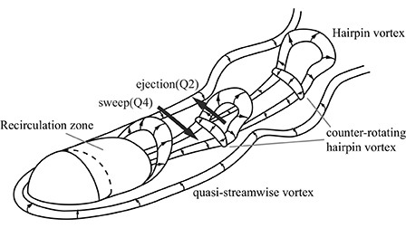 Vortex dynamics in the near wake of a surface-mounted hemisphere ...