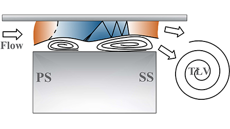 Shock wave structures and vortex unsteadiness in the tip region of a ...