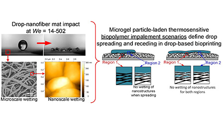 Microgel particle-laden drop impact on a nanofiber material with ...