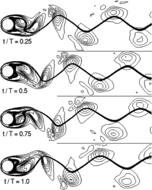 Computational fluid–structure interaction in biology and soft robots: A review | Physics of ...