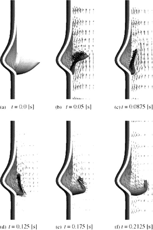 Computational fluid–structure interaction in biology and soft robots: A review | Physics of ...