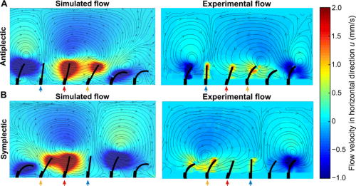 Computational fluid–structure interaction in biology and soft robots: A ...