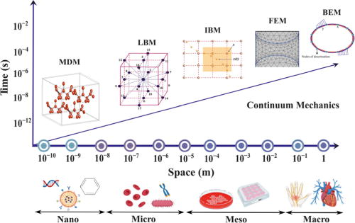 Computational Fluidstructure Interaction In Biology And Soft Robots A Review Physics Of 