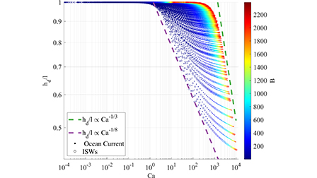 Deflection and drag on flexible marine structures in steady currents ...