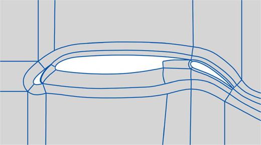 Finite-difference-informed graph network for solving steady-state incompressible flows on block ...
