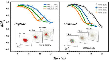 Transient microstructural behavior of methanol/n-heptane droplets under ...