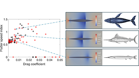 Data-driven airfoil shape optimization framework for enhanced flutter performance | Physics of ...