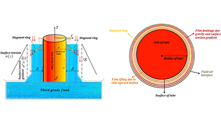 Revealing the dynamics of stagnant rings of third-grade fluid film with ...