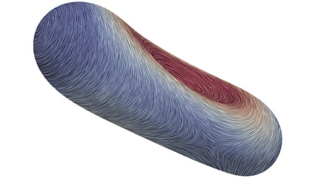 Shape evolution of fluid deformable surfaces under active geometric ...