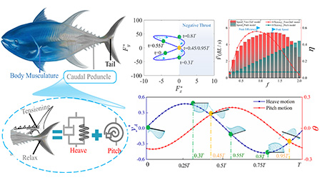Volume 36 Issue 10 | Physics of Fluids | AIP Publishing