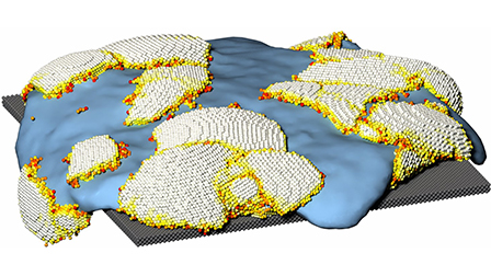 Reproducing hydrodynamics and elastic objects: A hybrid mesh-free model ...