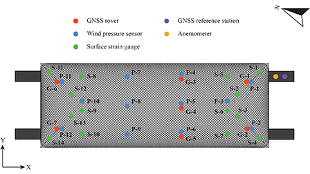 Fluid-structure interaction analysis of large-span air-supported ...
