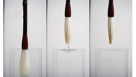 Dynamics of fluid–structure interaction in paintbrush | Physics of ...