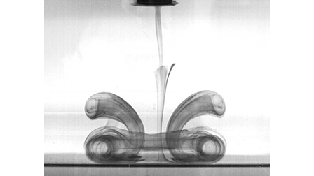 Evolution of secondary vorticity following vortex ring impact on a ...