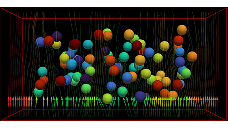 An open-source, adaptive solver for particle-resolved simulations with both subcycling and non ...
