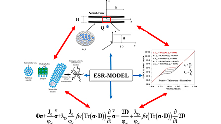 Continuous flow of a thixotropic elasto-viscoplastic-banded structured ...