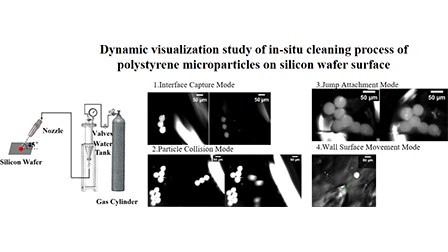 Dynamic visualization study of in situ cleaning of polystyrene ...