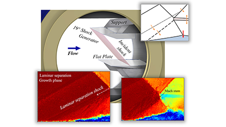 Highly separated transitional shock-wave/boundary-layer interactions: A spatial modal study ...