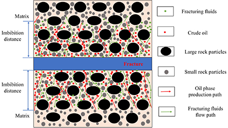 Nonlinear diffusion mechanism of porous media and countercurrent ...