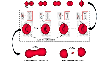 Direct numerical simulation of coalescence and separation of binary ...