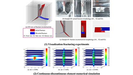 Visualization experiments and numerical simulation on the growth of ...