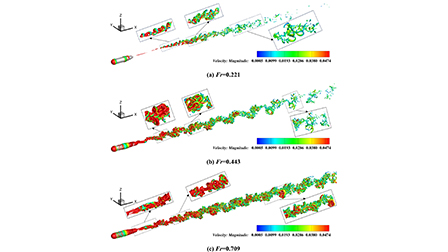 Evolution and propagation characteristics of the wake induced by an ...