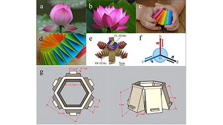 Experimental investigation on the relationships between hydrodynamic ...