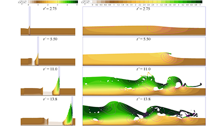 Direct numerical simulation of roll waves on landslide mudflow ...