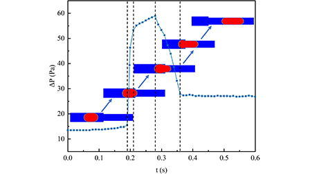 Five-stage dynamics of discontinuous oil phase migration in the ...