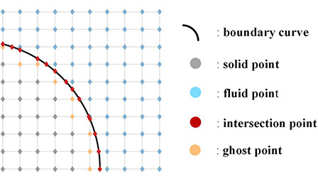 A high-order no image point sharp interface immersed boundary method for compressible flows ...