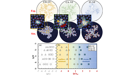 Visualization and characterization of capillary-to-viscous transition ...