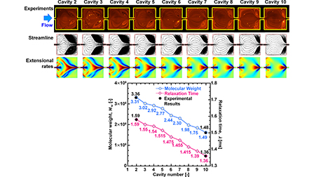 Polymer scission and molecular weight prediction in continuous abrupt ...