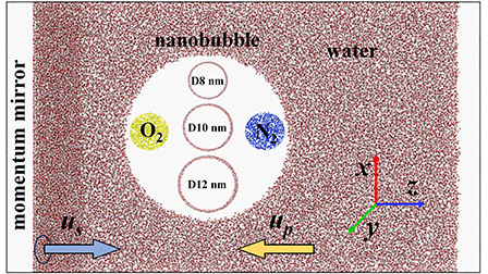 Instability and collapse mechanisms of O2 and N2 nanobubble gas–liquid interfaces: A molecular ...