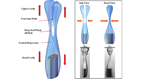 Experimental investigation on the cavity sealing transformation of ...