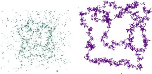 Vortex dynamics of turbulent energy cascades | Physics of Fluids | AIP Publishing