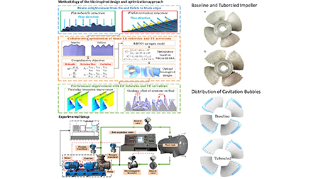 Bio-inspired design for impeller and diffuser optimization to enhance ...