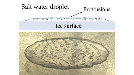 The impact and freezing processes of a saltwater droplet on an ice ...