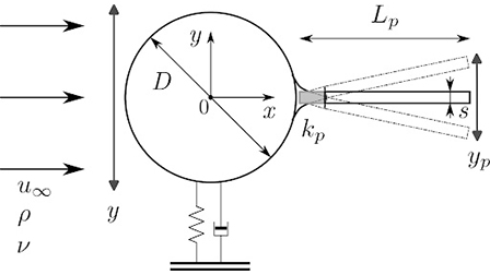 Experimental study on the flow-induced vibrations of a circular ...